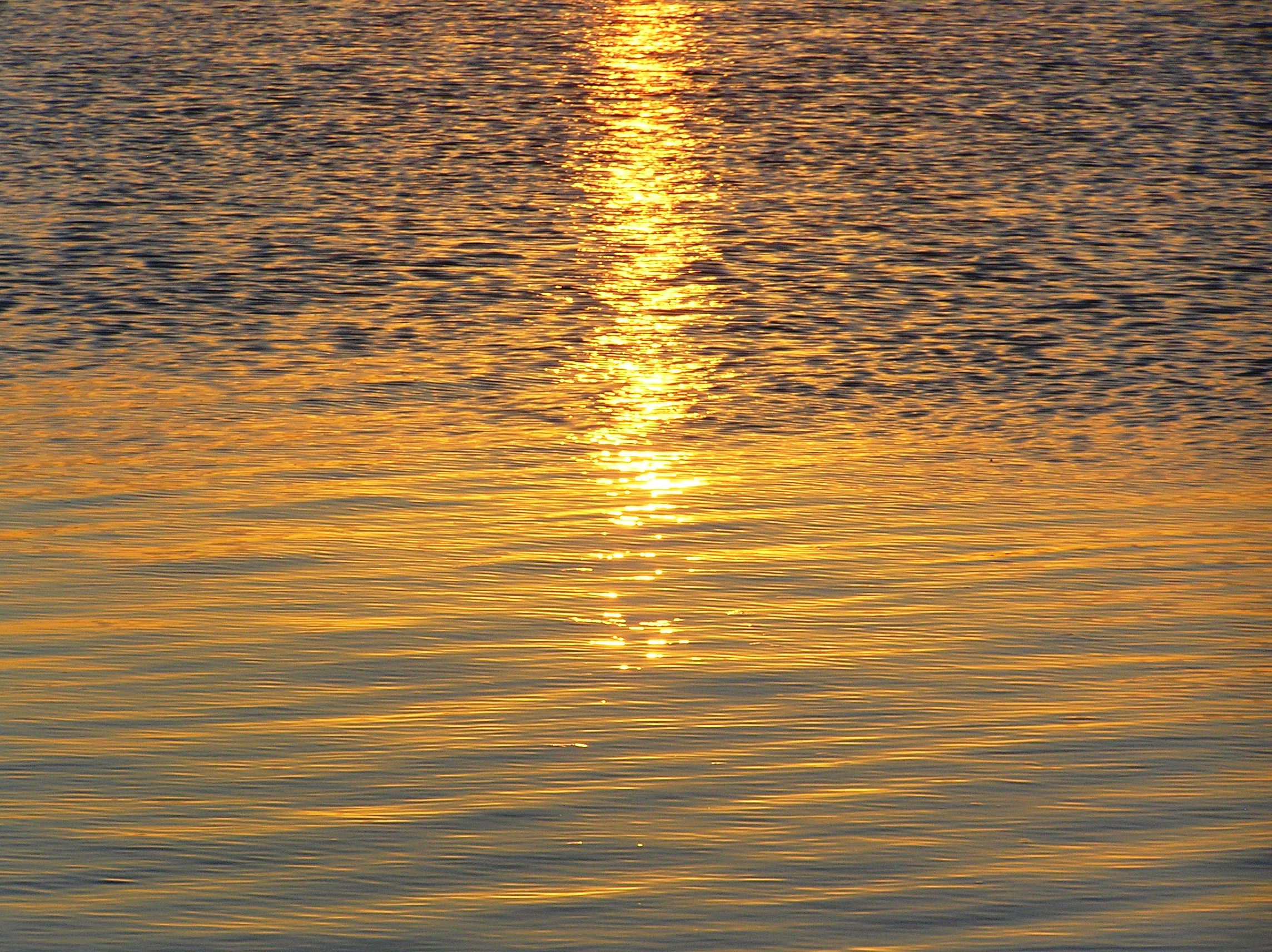 Narobe svet • POT SRCA